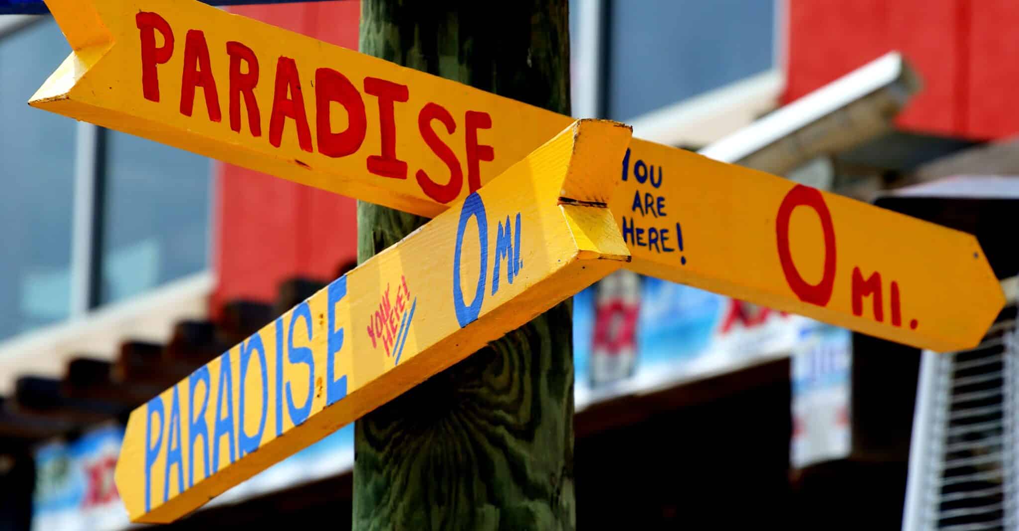 Pop-up Shops - Man Vs Fries